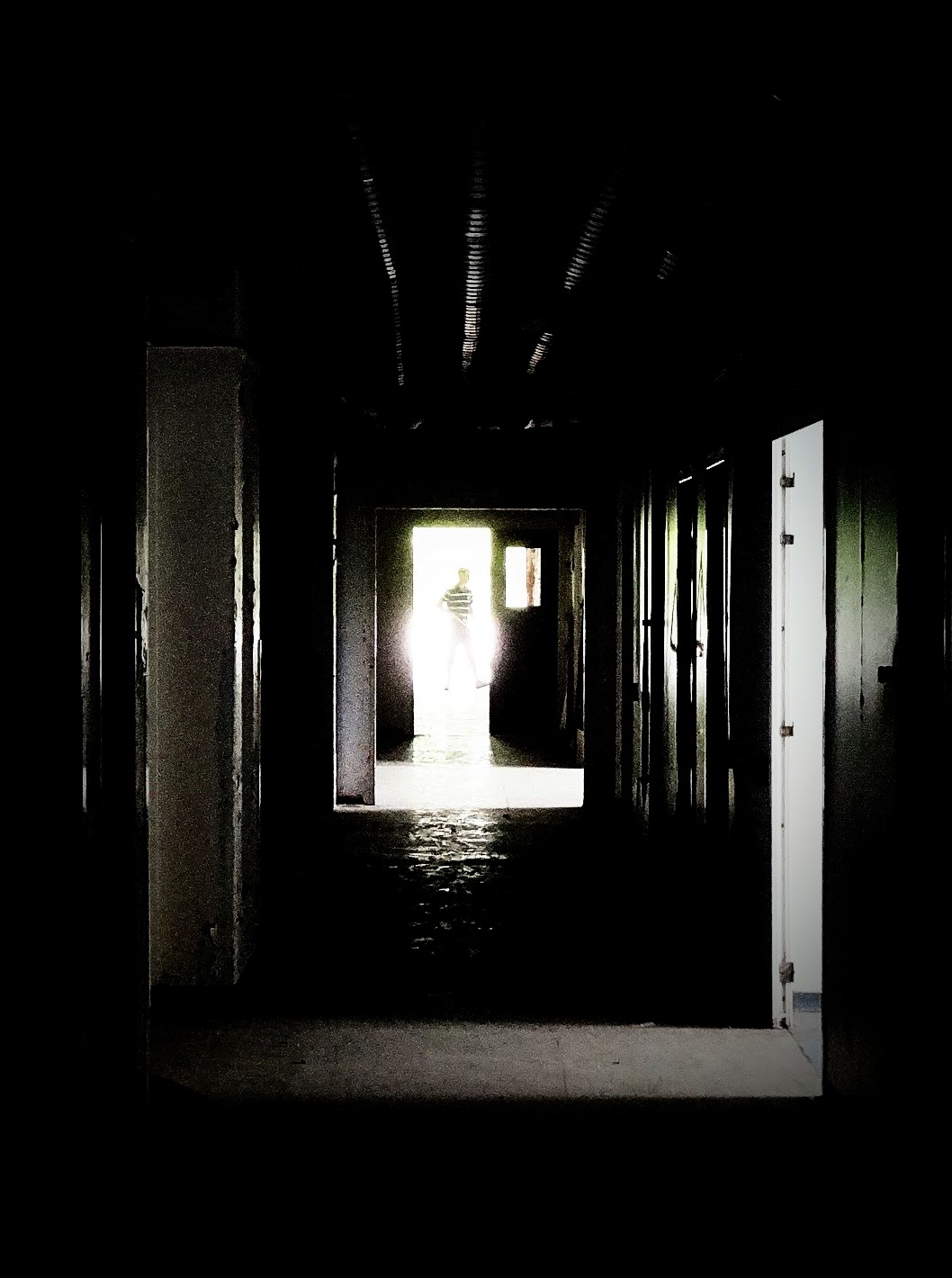 Paranormal or Abnormal | Todays Reality